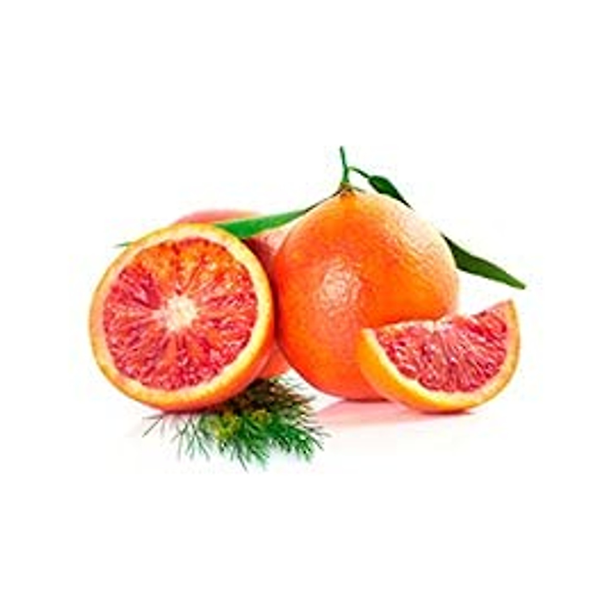 Fruits & Passion [Cucina] - Sanguinelli Orange & Fennel Hand Care Duo Caddy Gift Set | Liquid Hand Soap Wash (5.1 oz) with Hand Cream Lotion (6.8 oz)