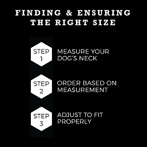 Wolfgang Adjustable Dog Training Collar, for Large Dogs, Durable & Easy to Clean Nylon Dog Collar with Quick Clip Buckles, For Training & Daily Use Made in USA, GreatEscape Print (1 Inch x 18-26 Inch)