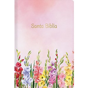 RVR 1960 Biblia letra grande tamaño manual edición especial, fucsia símil piel: Santa Biblia (Spanish Edition)