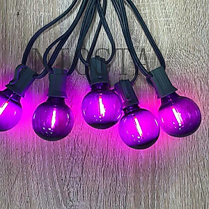 NIOSTA 25 Pack G40 LED Christmas Replacement Bulbs, Clear Purple Globe Light Bulbs for Outdoor String Lights, E12/C7 Candelabra Base, 0.7W LED Filament and Clear Shatterproof Plastic Material