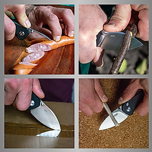 Firebird GANZO FH925-BK Small Pocket Folding Knife Button Lock D2 Steel Blade G10 Anti-Slip Handle with Clip Camping Outdoor EDC Utility Knife Best Gift for Men Women (Black)