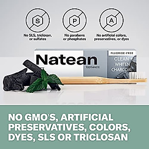 Natean Clean + Whiten Charcoal Toothpaste, Fluoride Free, Clean Mint - 4.7 Oz Tube