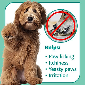 Evergreen Pet Supplies Dog Paw Cleaning Tablets - 100 Count, 4g Tea Tree Oil Fizz Tablets - Dog Itchy Paw Relief - Deep Cleans, Soothes, Moisturizes Yeasty Paw Pads - Helps Stop Frequent Paw Licking