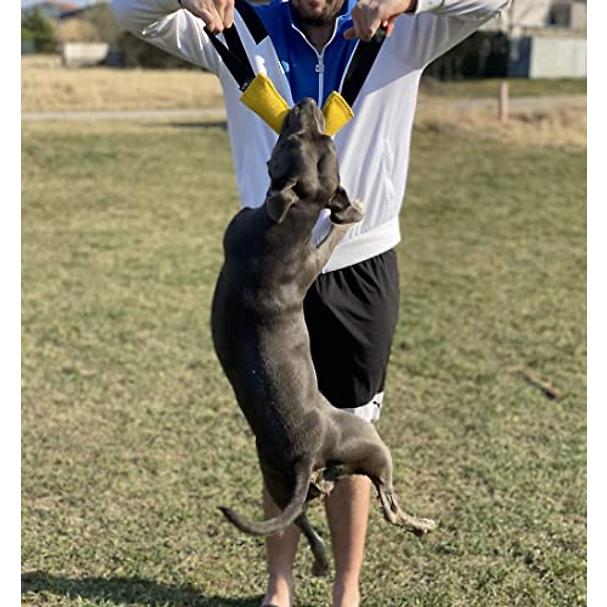 K9BULLS Dog Tug Toy for Interactive Tug of War - Tear Resistant French Linen - Super Durable Yet Soft for Dog's Teeth. Perect for :Tug of War, Schutzhund,Agility,Ring Sport,PoliceK9,and More. -Green-