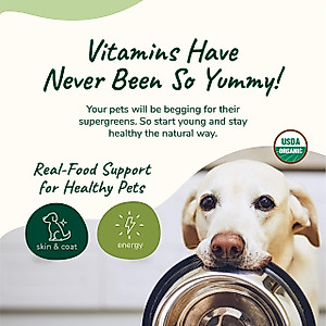 kin+kind Organic Multivitamin for Dogs & Cats - Vitamins and Supplements for Healthy Skin and Coat - Natural Formula with Wheatgrass, Kelp, Flax Seed, Seaweed and Coconut - Large 8 oz - Made in USA