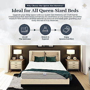 Queen Size Mattress - 6 Inch Cool Comfort Foam & Spring Hybrid Mattress with Breathable Organic Cotton Cover - Quilted Soft Tight Top - Rolled in a Box - Oliver & Smith