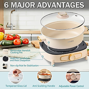 Dezin Electric Shabu Shabu Pot with Removable Pot, 5L Non-Stick Hot Pot Electric with Multi-Power Control, 3.7" Depth Electric Pot with Tempered Glass Lid for Party, Family and Friend Gathering