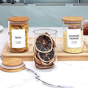 5.7 OZ Spice Jars,16 Pack Glass Spice Jars with Labels and Chalk,Seasoning Containers for Spice,Sugar,Salt,Coffee,Tea