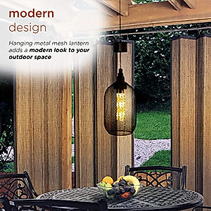 Alpine Corporation QTT391SLR-TM Solar Hanger w/White LED Light, 12", Black