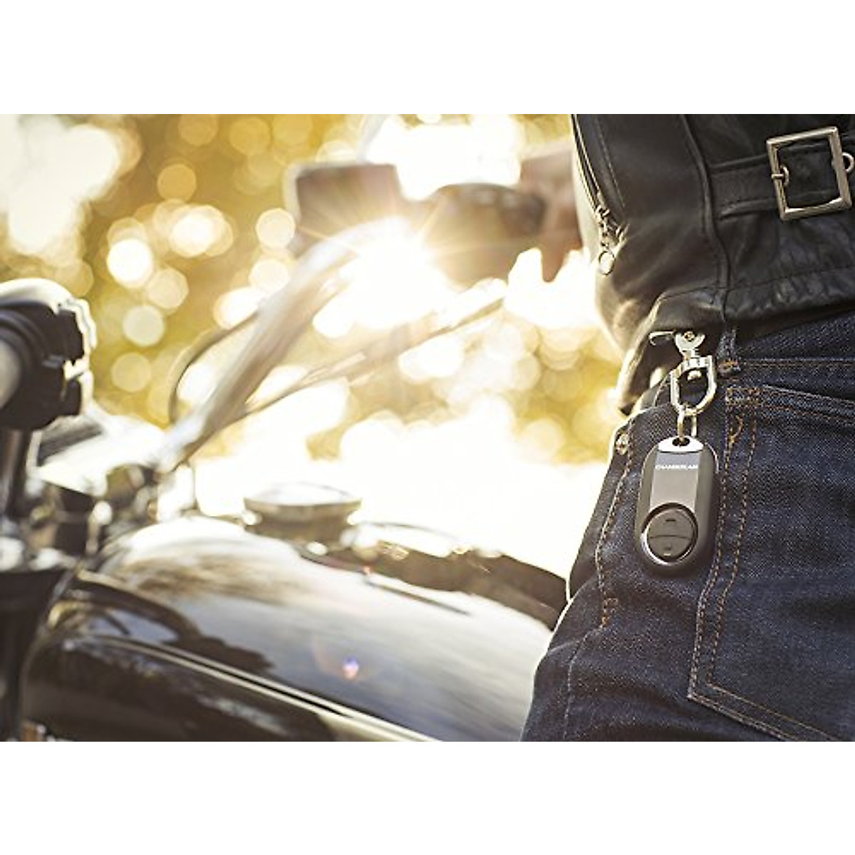 Chamberlain Group MC100-P Universal Garage Door Opener Mini Keychain Remote, Small, Black