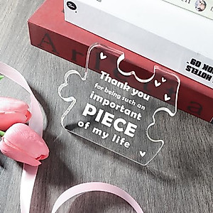 Appreciation Gifts for Women Men Thank You Teacher Gifts Gratitude Gifts for Friends Retirement Gifts for Coworker Mom Dad Wife Aunt Bestie Sister Grandma Leader Mentor Acrylic Plaque Home Desk Decor