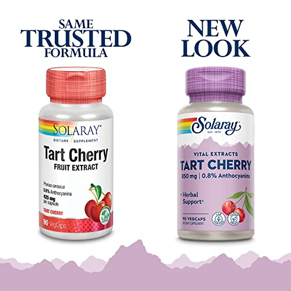 SOLARAY Tart Cherry Fruit Extract 425mg | Supports Healthy Uric Acid Levels w/ Antioxidants & Anthocyanins | Non-GMO & Vegan | 90 VegCaps