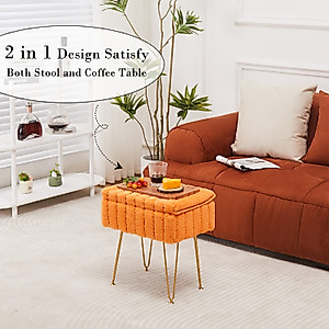 Wimarsbon Faux Mink Fur Storage Ottoman, Modern Soft Footstool, Storage Bench with Metal Legs, Vanity Seat, Fur Stool, Ottoman Coffee Table, Makeup Chair, Vanity Stools for Bedroom (Orange)