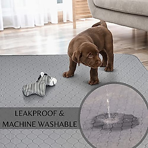 ZICOTO The Ultimate Easy to Clean XXL Puppy Whelping Pad 72"x72" - Our Washable Super Absorption Pee Pad is Perfect for Your Whelping Box Or Exercise Playpen- The Durable Non Slip Floor Mat for Dogs