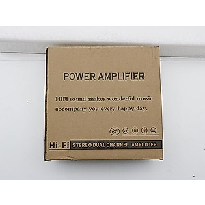 Etlephe 298A Mini Bluetooth 5.0 Stereo Amplifier,Amplifier home Audio,Audio Receiver,300W+300W 2 Channel Power Sound Receiver/USB,SD Card,FM Radio,2 Mic for Home Speakers & Theater System-12V 110V