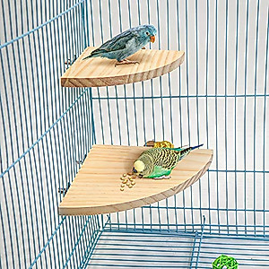 2 Pack Bird Perch Platform, Parrot Stand Sector Playground Wood Perch Stand Toy Cage Accessories Exercise Toy for Parakeet Conure Cockatiel Budgie Gerbil Rat Mouse Chinchilla Hamster