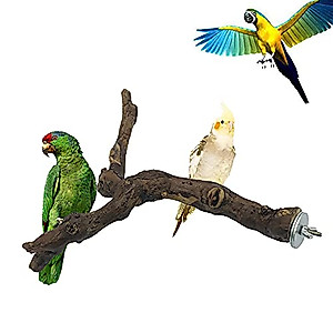 Seasonsky 8 PCS Natural Grape Stick Fork Bird Perch Bird Standing Stick Chewing Bird Toys Natural Grapevine Bird Cage Perch for Parrot Cages Toy for Cockatiels, Parakeets, Finches