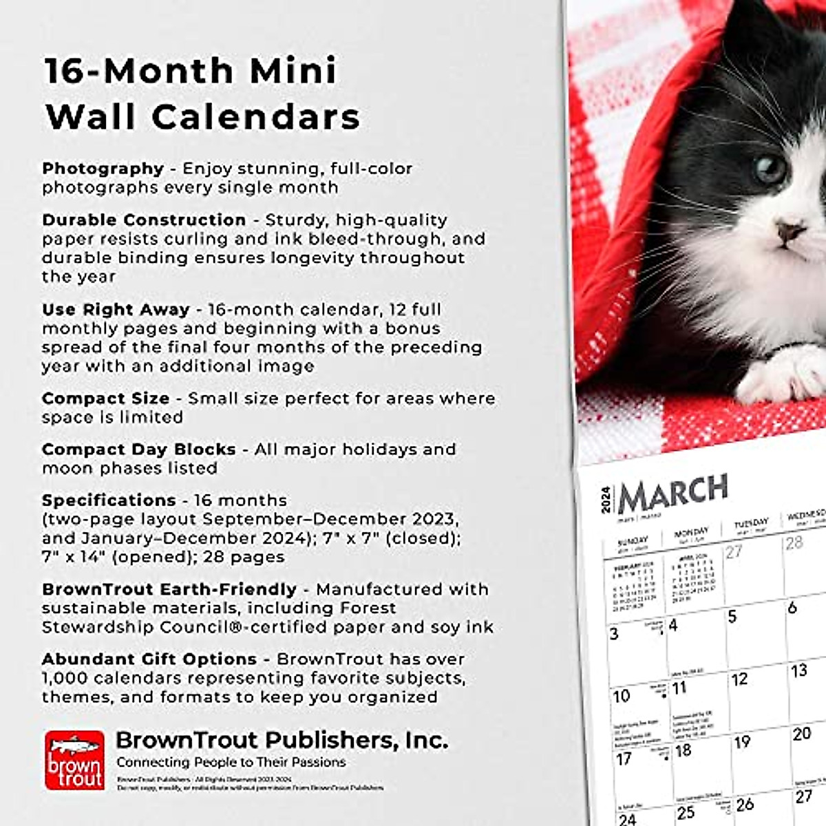 For the Love of Kittens | 2024 7 x 14 Inch Monthly Mini Wall Calendar | BrownTrout | Animals Cats Feline
