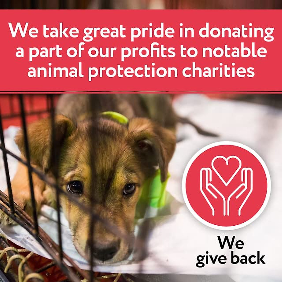 Arava Dog Ear Infection Treatment - First Aid in Acute & Chronic Inflammations - Anti Itch Effective Ear Cleaner - Pet Otic Ear Care Solution