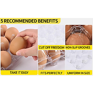 Lifuope 120 Piece Transparent Egg Carton Plastic Egg Cartons Specs3×4 12 Individuai Plastic Egg Cartons Farm Egg Storage Size7.6×5.9×2.6inch(3x4 12 egg boxes, 120 pieces)