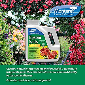 Monterey LG7220 Epsom Salt for Plants Magnesium Sulfate for Gardening, 4 lb
