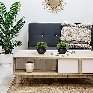 FIAHOSEY Fake Potted Plants Small Artificial Grass with Matte Black Ceramic Pots Faux Plant Greenery for Bathroom Living Room Office Tabletop Desk Shelf Decoration