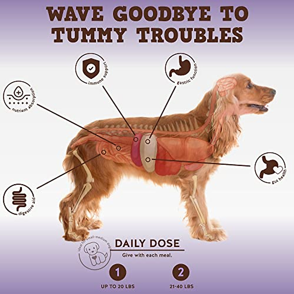 Jack&Pup Probiotic Chews for Dogs - Dog Probiotic Chews Small and Medium - Pro-Digest Bark Buddies (Up to 40 lbs) Puppy Probiotic Dog Chews, Pet Probiotics for Dogs - Probiotics for Puppies (60ct)