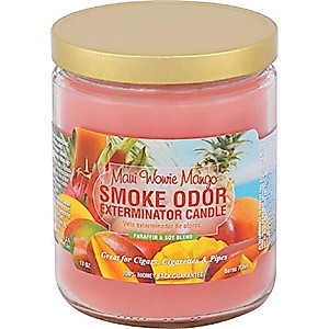 Smoke Odor Exterminator 13 oz Jar Candles Maui Wowie Mango, (2)