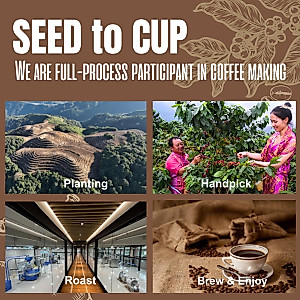 HALI Whole bean Coffee Beans Espresso Beans Whole Geisha Coffee Beans Light Medium Roast Ethiopia Coffee Floral Citrus Sweet Flavor Notes Freshly Roasted Coffee Beans Whole , Ethiopia Gesha 8 Ounce 8oz Pack