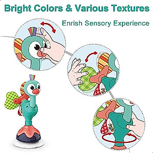 iPlay, iLearn Baby Rattles Set, Infant High Chair Toys W/Suction Cup, Grab N Spin, Interactive Development Baby Tray Toy, Newborn Gifts for 6, 9, 12, 18, 24 Months, 1 2 Year Olds, Boys Girls Kids