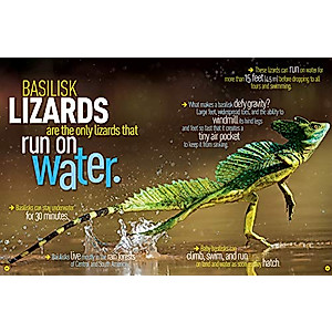 National Geographic Kids Ultimate Weird but True!: 1,000 Wild & Wacky Facts and Photos