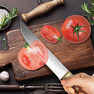 XTD Chef Knife with Sheath Professional 7 Inch Kitchen Knife, Viking Boning Knife for Meat Cutting, High Carbon Stainless Steel Sharp Filleting Knives with Full Tang Ergonomic Handle with Gift Box