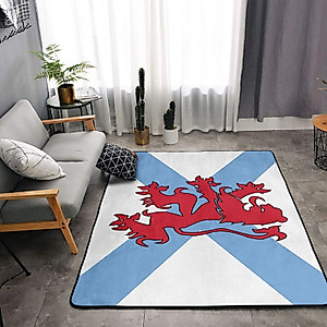 LIICHEES Flag of Boomerville, Dream SMP Area Rug 63x48in Washable Rugs for Living Room Bedroom Large Rug Indoor Decorative Carpet Yoga Mat