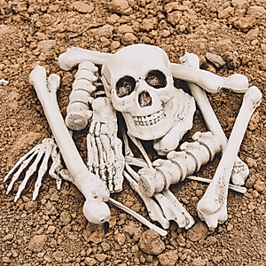 18Pcs Bag of Skeleton Bones and Skull for Halloween Decorations, Life Size Plastic Skeleton Bones,Spooky Skull Bones Props for Outside Inside Halloween Yard lawn Graveyard Party Haunted House Decor