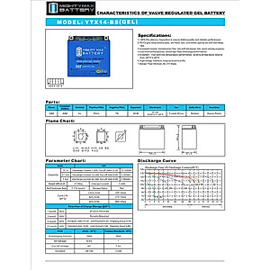 Mighty Max Battery YTX14-BS GEL Replacement Battery for Duralast CTX14-BSFP