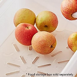 TrueCraftware 18" x 26" Plastic Food Storage Box Drain Shelf White Color- Food Storage Box Drain Shelf for Restaurant Kitchen and Cafeteria