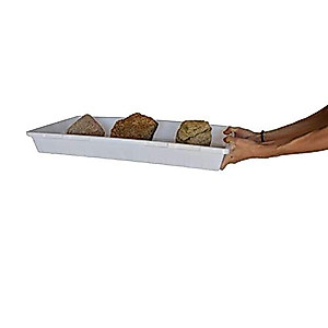 Bootstrap Farmer 1020 Trays White Extra Strength - 5 Pack No Hole - Seed Starter Flats for Fodder, Microgreen, Seedling Propagation Growing