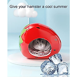 Besimple Hamster Hideout, Small Animal Hideout, Ceramic Pet House, Adorable Shape Hamster House Cave Mini Hut Cage Critter Bath House for Chinchilla Hamster(Strawberry)