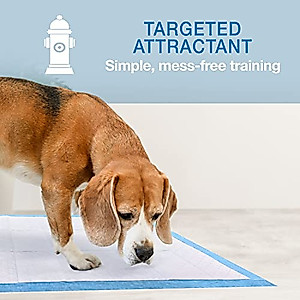 Four Paws Wee-Wee Superior Performance Pee Pads for Dogs - Dog & Puppy Pads for Potty Training - Dog Housebreaking & Puppy Supplies - 22" x 23" (150 Count)