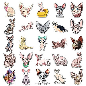 Hairless Cat Vinyl Stickers for Kids Girls Boys|50 Pcs|Cute Cartoon Animals Waterproof Stickers for Laptop Water Bottle Phone Cup Tablet Luggage Flasks, Lovely Pet Decals Pack(Hairless Cat-50Pcs)