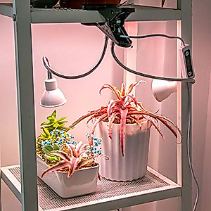 Aceple LED Grow Light, Dual Head Desk Clip Lamp for Indoor Plants with Full Spectrum, Adjustable Gooseneck and Timer Setting(6/10/12H)