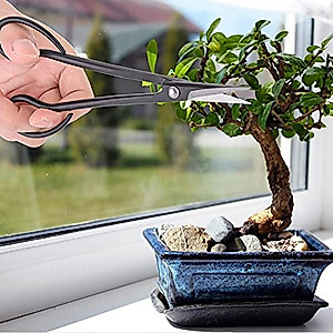 WNSC Bonsai Scissors, High Hardness Garden Scissors Garden Bonsai Tool Anti-Rust for Pruning