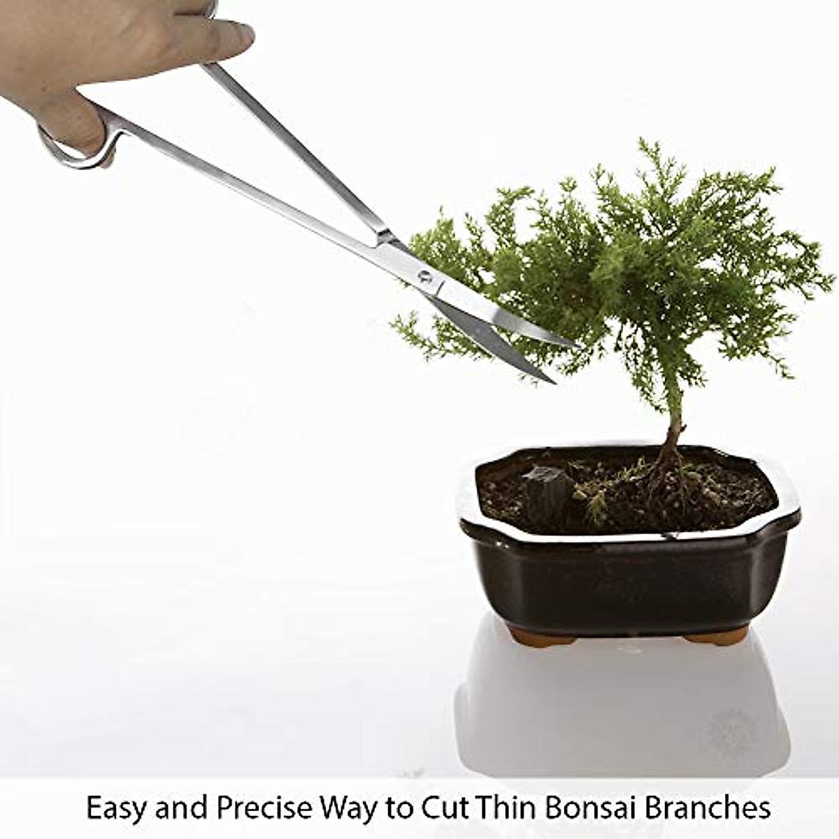 SunGrow Aquarium, Hermit Crab & Gecko Tank Tool Kit, Includes Straight ...