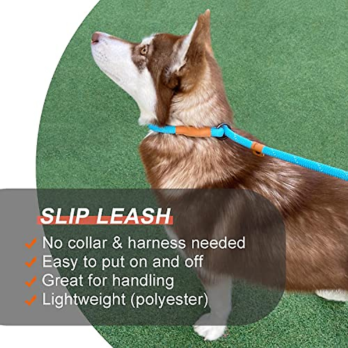 Slip Lead Dog Leash, Reflective Mountain Climbing Rope Leash, Dog Training Leash – 5FT, 2 Sizes (Medium, Turquoise)