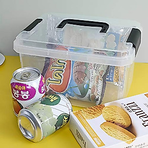 Ortodayes 4 Packs Plastic Box with Lid, Plastic Storage Bin, Small Storage Boxes