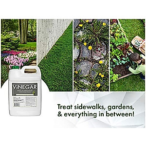 Energen Carolina LLC 578 Vinegar Weed & Grass Killer Approved for Organic Production Pet Safe Glyphosate Free Herbicide, Gallon 1, Yellow