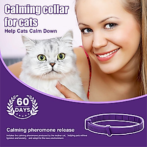 EON SNUGGLEMATES Calming Collar for Cats, Long-Lasting Pheromone Collar Helps Calm Cats for 30 Days, Reduces Stress, Helps Calm Cats from Anxiety, Loud Noises, and Separation, 1 Count (Purple)