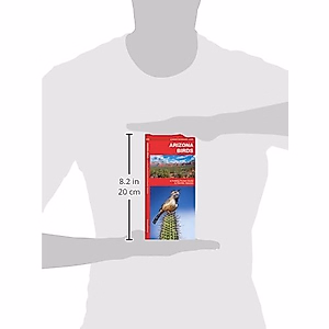 Arizona Birds (Nature Observation North America)