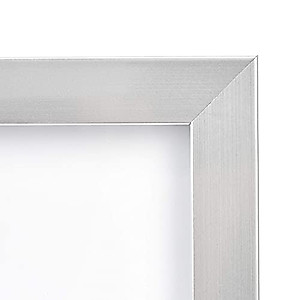 Amazon Basics Rectangular Photo Picture Frame, 8" x 10", Pack of 2, Nickel