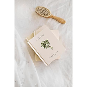 Our Little Adventures: Stories Featuring Foundational Language Concepts for Growing Minds (Our Little Adventures Series)